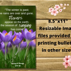 Printable Church Bulletin Covers - SPRING Theme General Use - Multiple ...