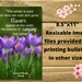 Printable Church Bulletin Covers - SPRING Theme General Use - Multiple ...