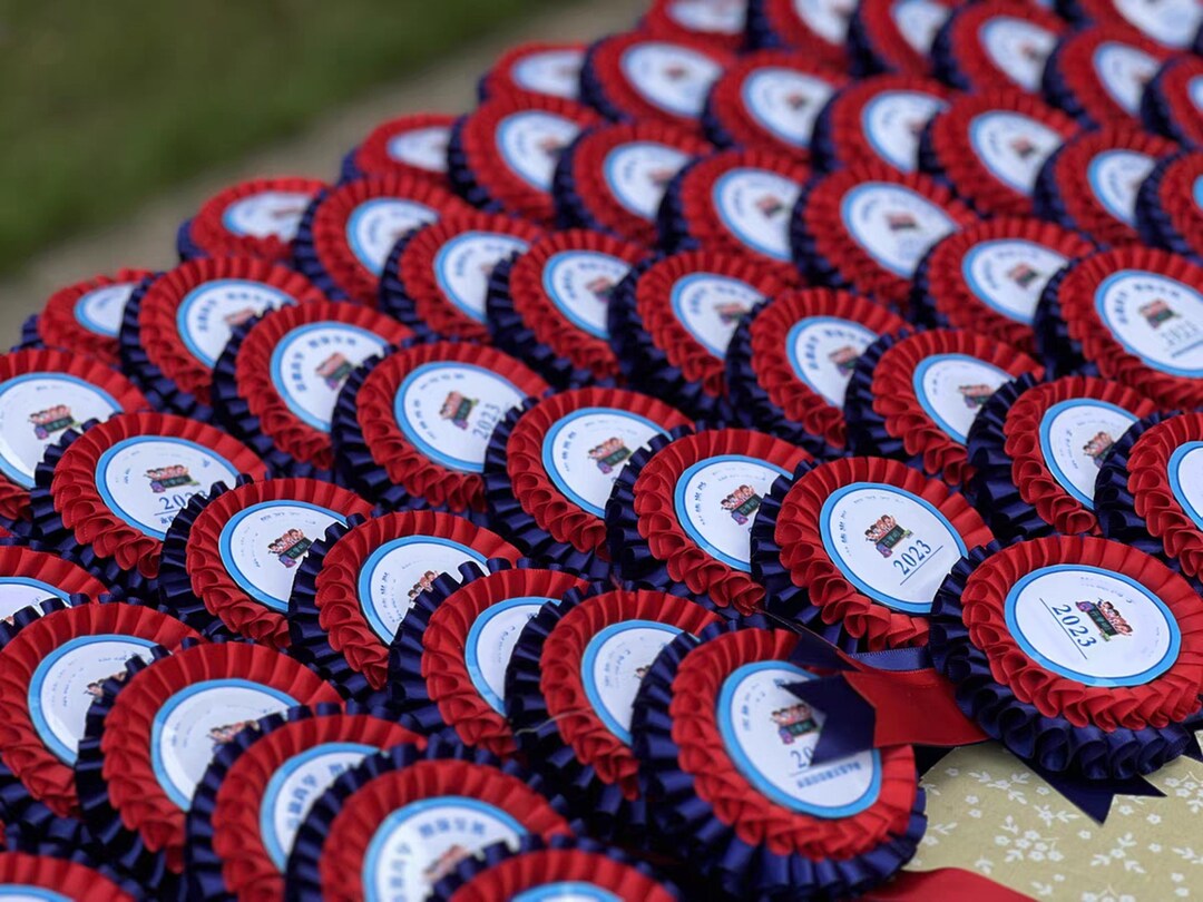 10pcs Personalized Ribbon Rosette Badge 9*16 Cm | Add Your Name | Logo ...