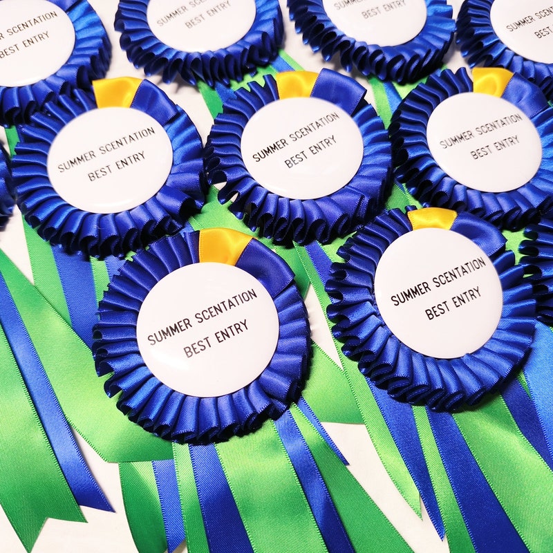 Adult Award Ribbons - Etsy