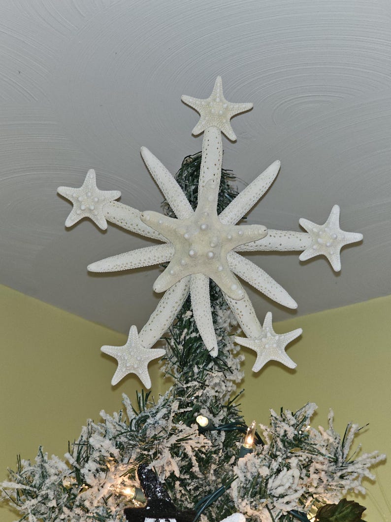 Natural Starfish Christmas Tree Topper - Etsy
