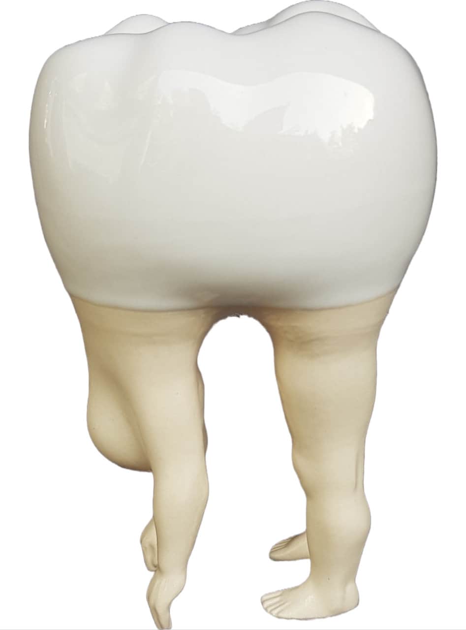 Tooth Ceramic Sculpture White Dentist Clinic Decor Bathroom Decor ...