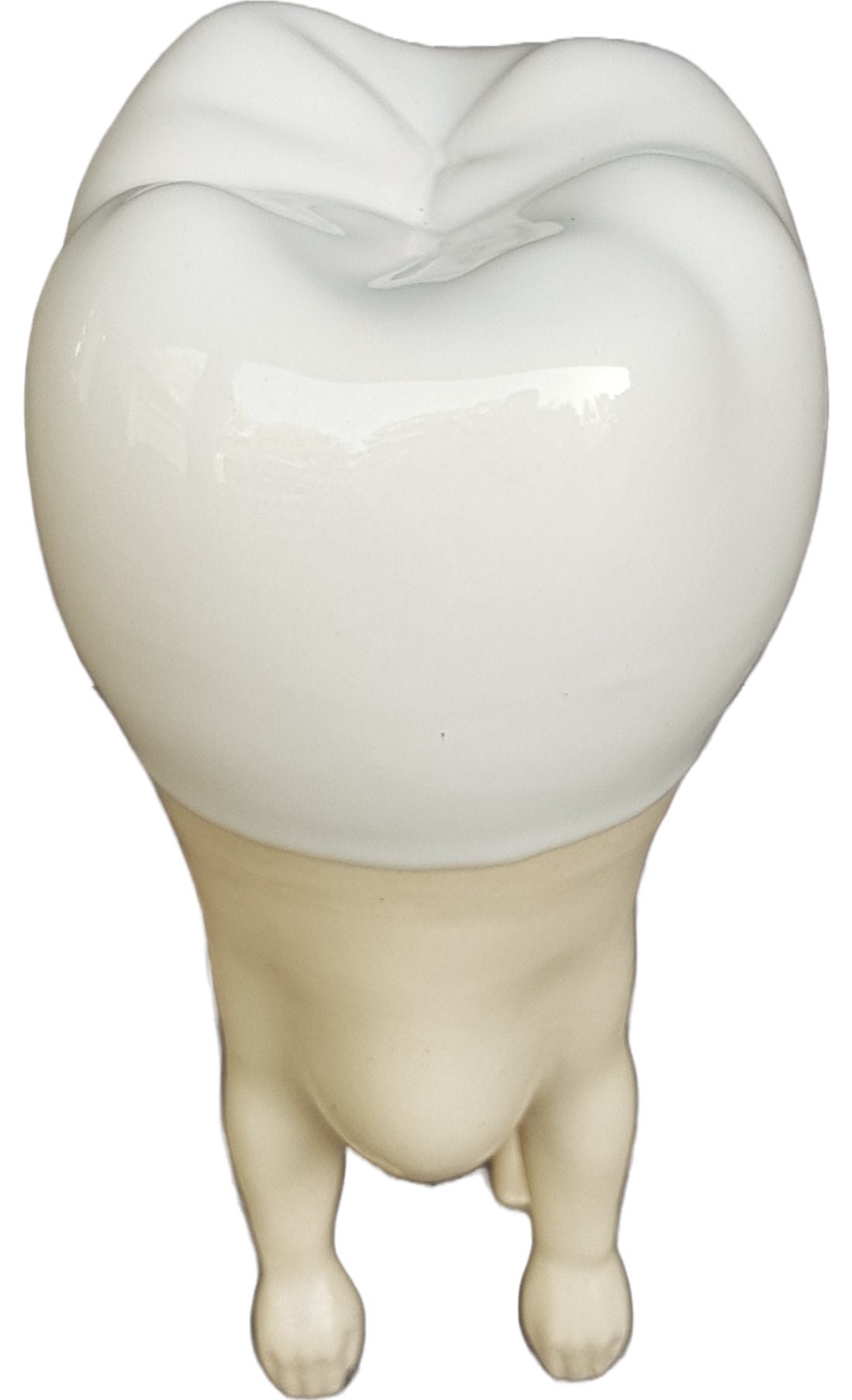 Tooth Ceramic Sculpture White Dentist Clinic Decor Bathroom Decor ...