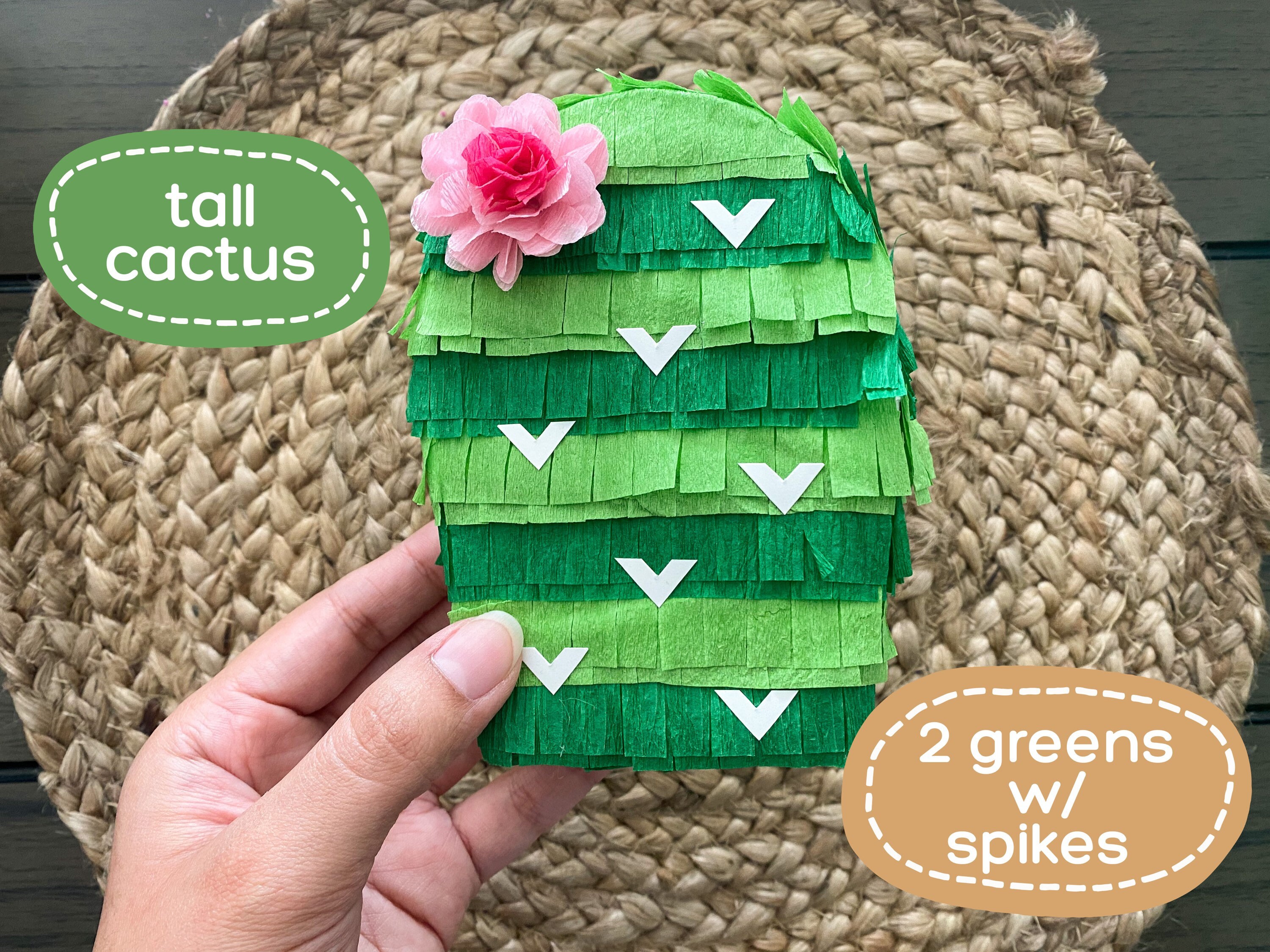 SUPER MINI Cactus Piñata - Etsy