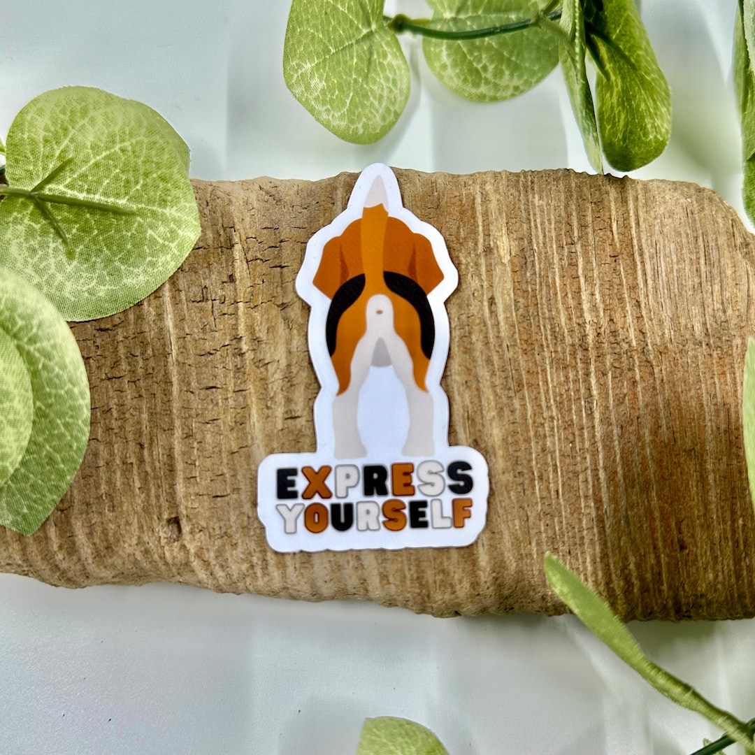 Express Yourself Sticker, Vet Med Gifts, Veterinary Stickers, Vet Tech ...