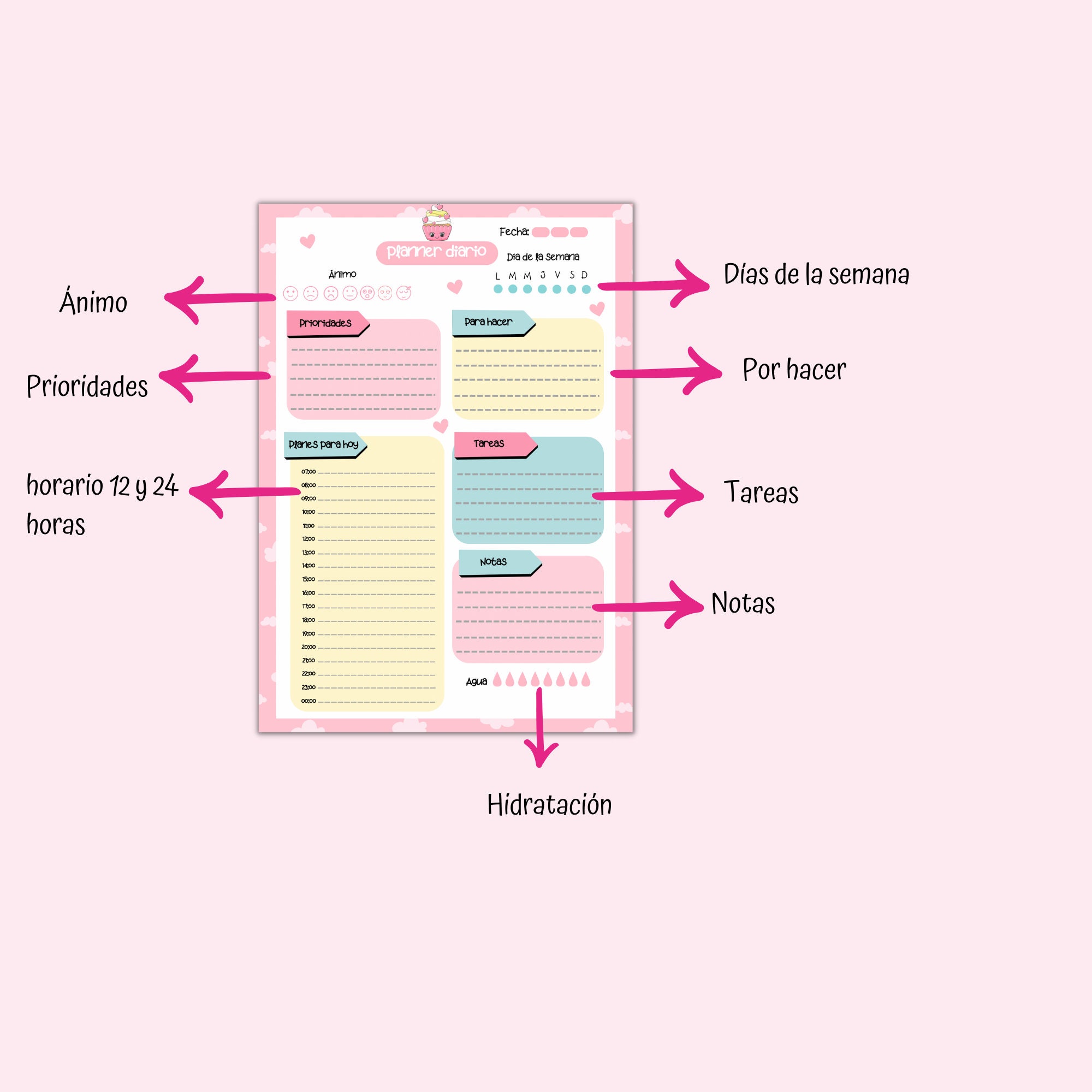 Daily Planner in Spanish, Kawaii Daily Planner, Printable Undated Daily ...