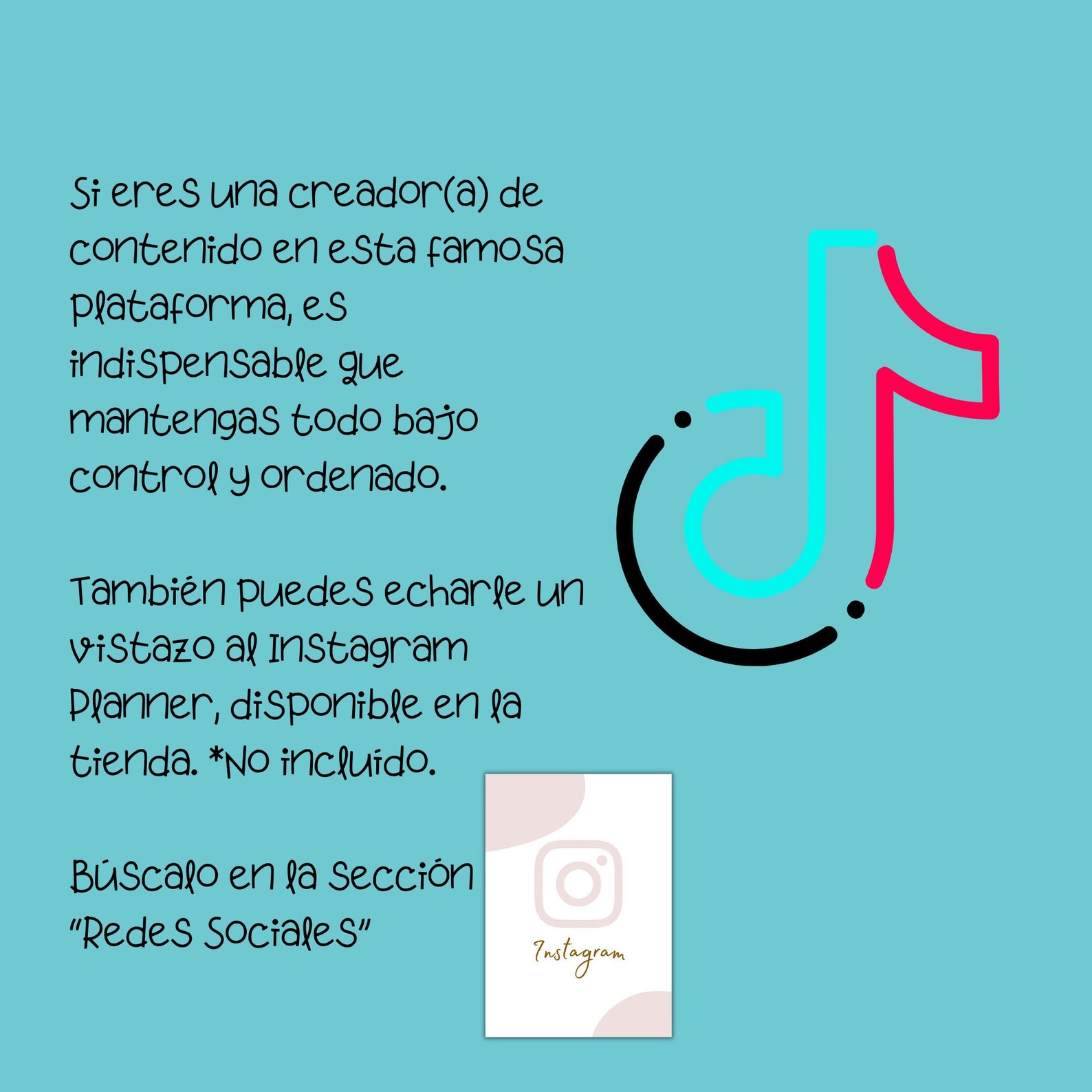 Spanish Digital Tiktok Planner Printable TikTok Planner - Etsy España