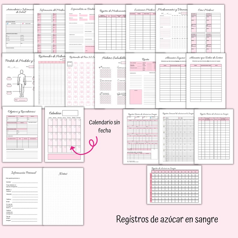 Printable Diabetic Planner, Diabetes Control Agenda, Blood Sugar Record ...