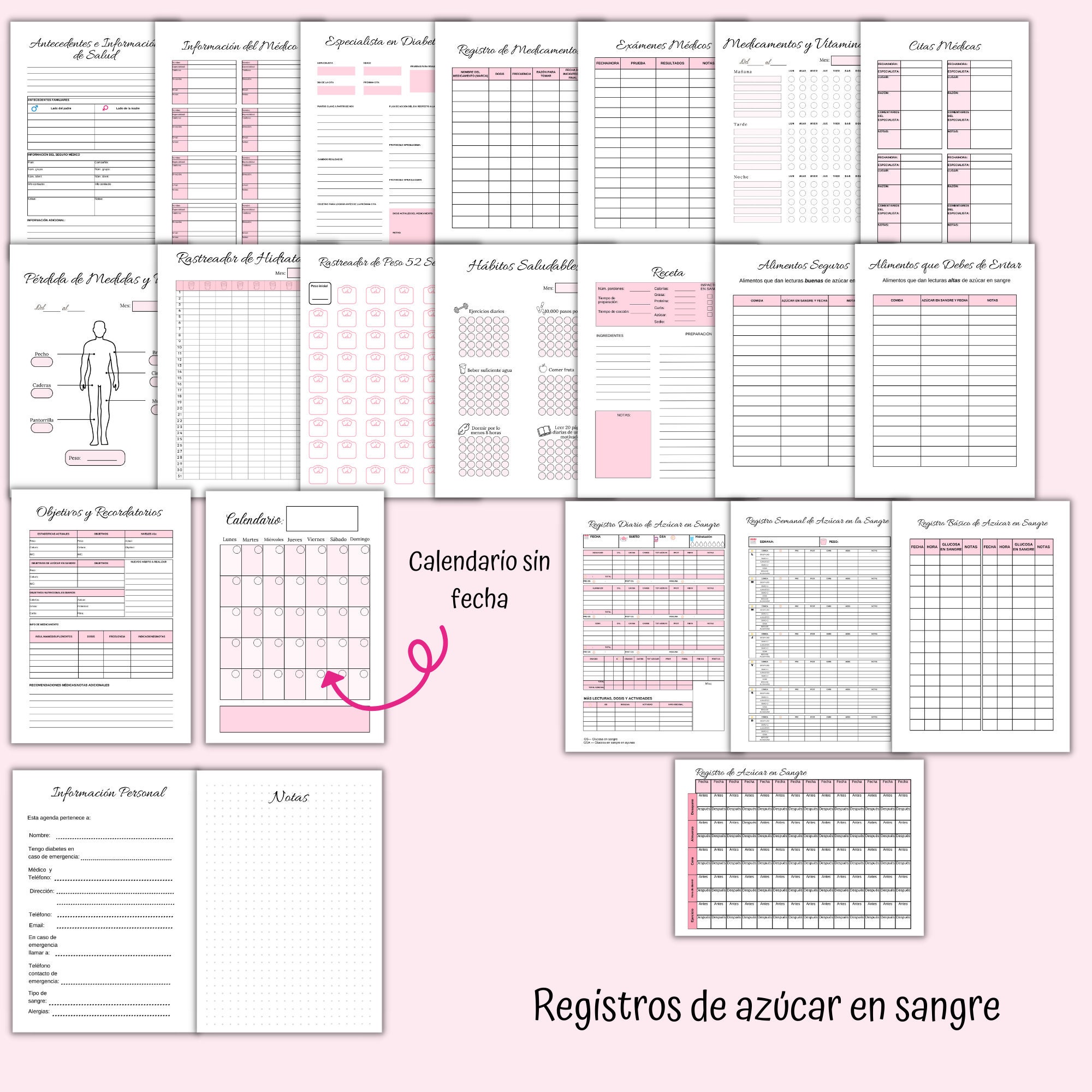 Printable Diabetic Planner, Diabetes Control Agenda, Blood Sugar Record ...