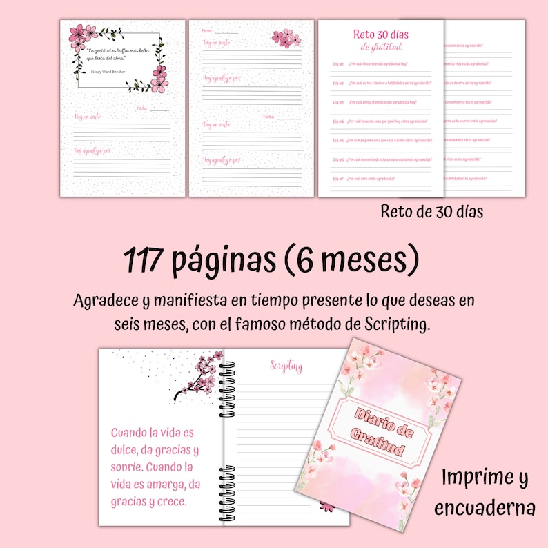 Spanish Printable Gratitude Journal Diario de Gratitud - Etsy España