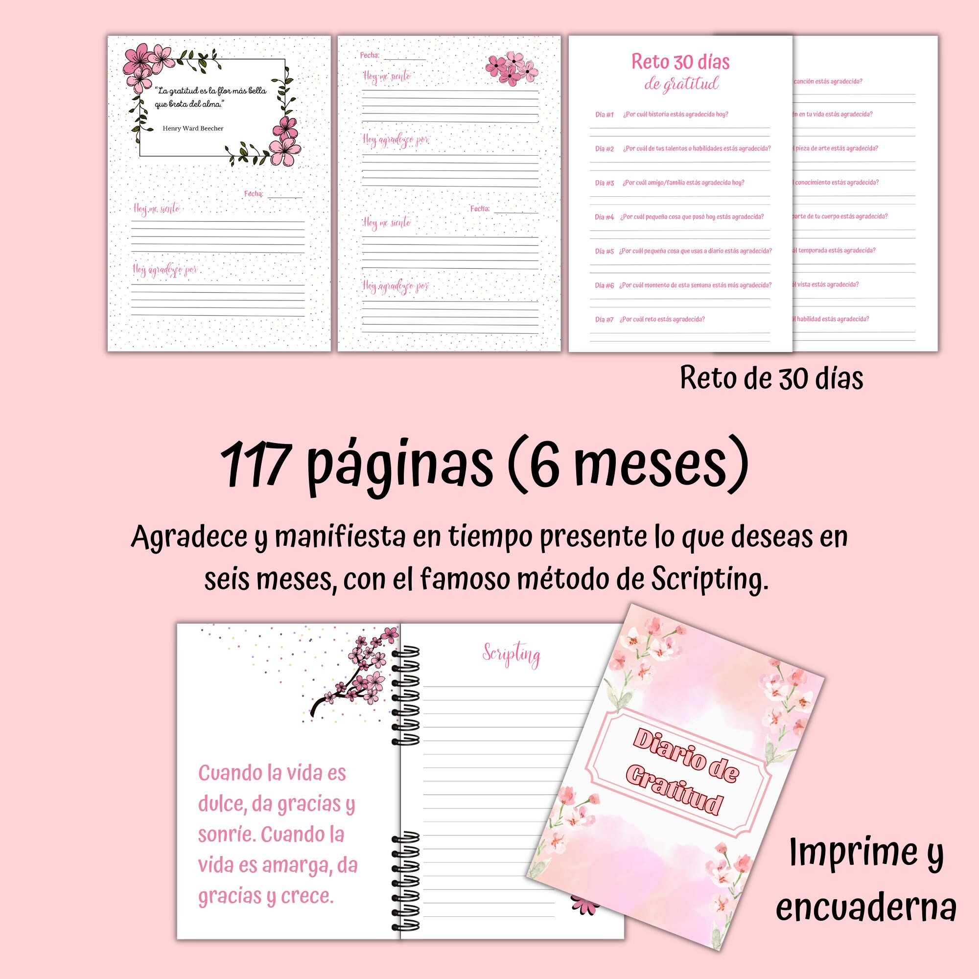 Spanish Printable Gratitude Journal Diario de Gratitud - Etsy España