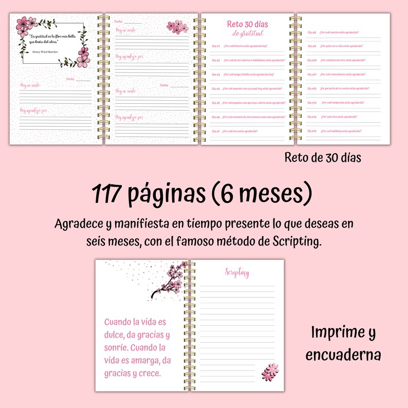 Printable Gratitude Journal in Spanish, Gratitude Journal, Wellness ...