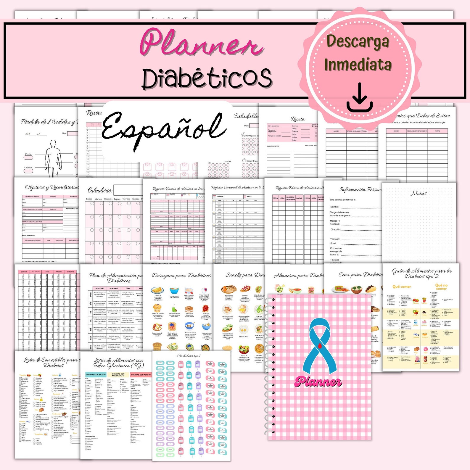 Printable Diabetic Planner, Diabetes Control Agenda, Blood Sugar Record ...