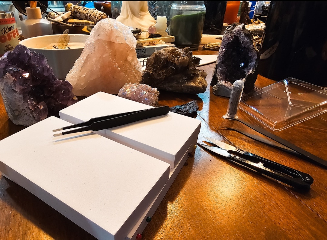 Complete Insect Pinning & Collection Kit for Enthusiasts Entomology ...