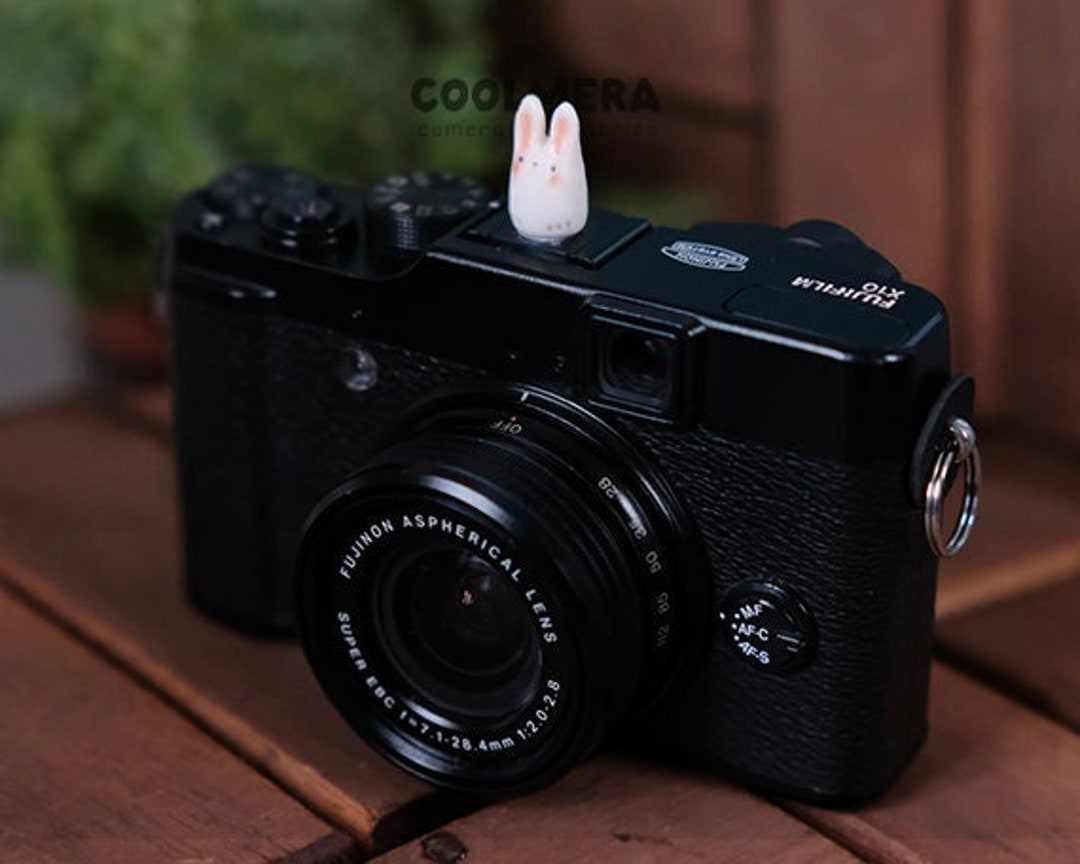 Handmade Clay Bunny Camera Hot Shoe Cover – Cute Animal Accessory - Etsy