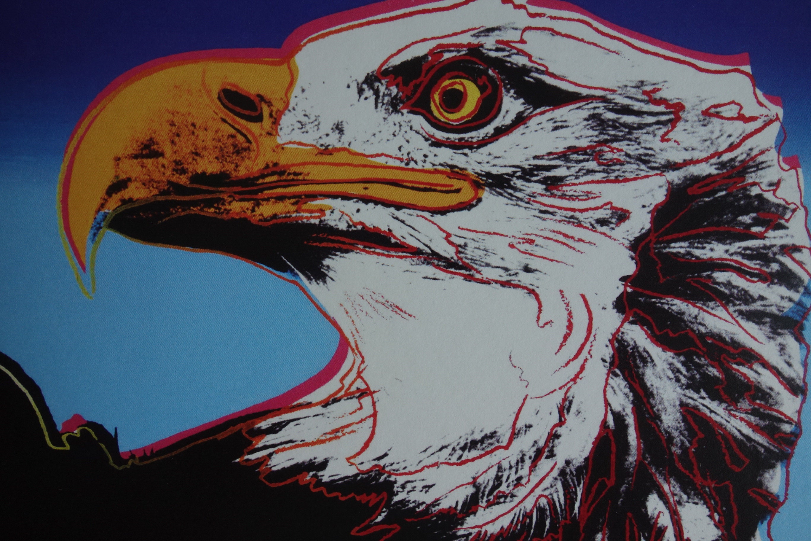 Fine Pop Art Limited Edition Print - Animal Series - Bald Eagle, Andy ...