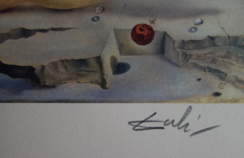 Fine Surrealist Limited Edition Print, Salvador Dali, Signed & Numbered ...