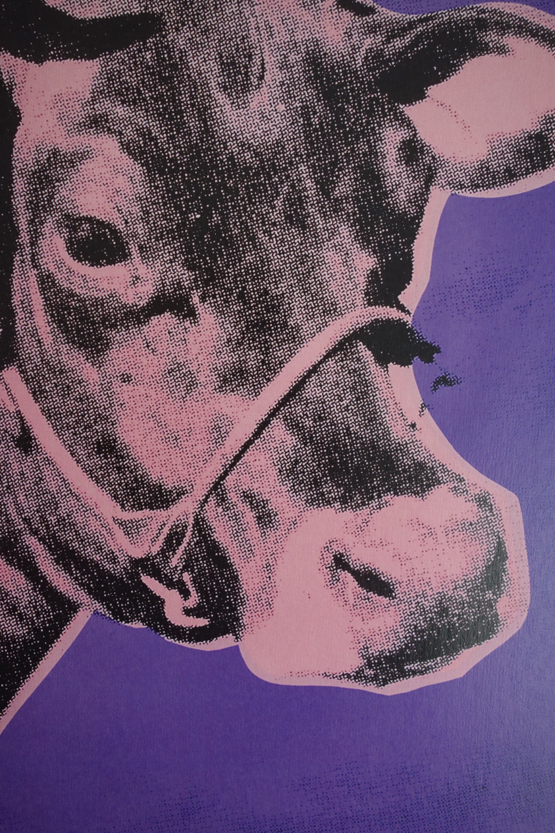 Fine Pop Art Limited Edition Print Cow, Andy Warhol, Signed & Numbered ...