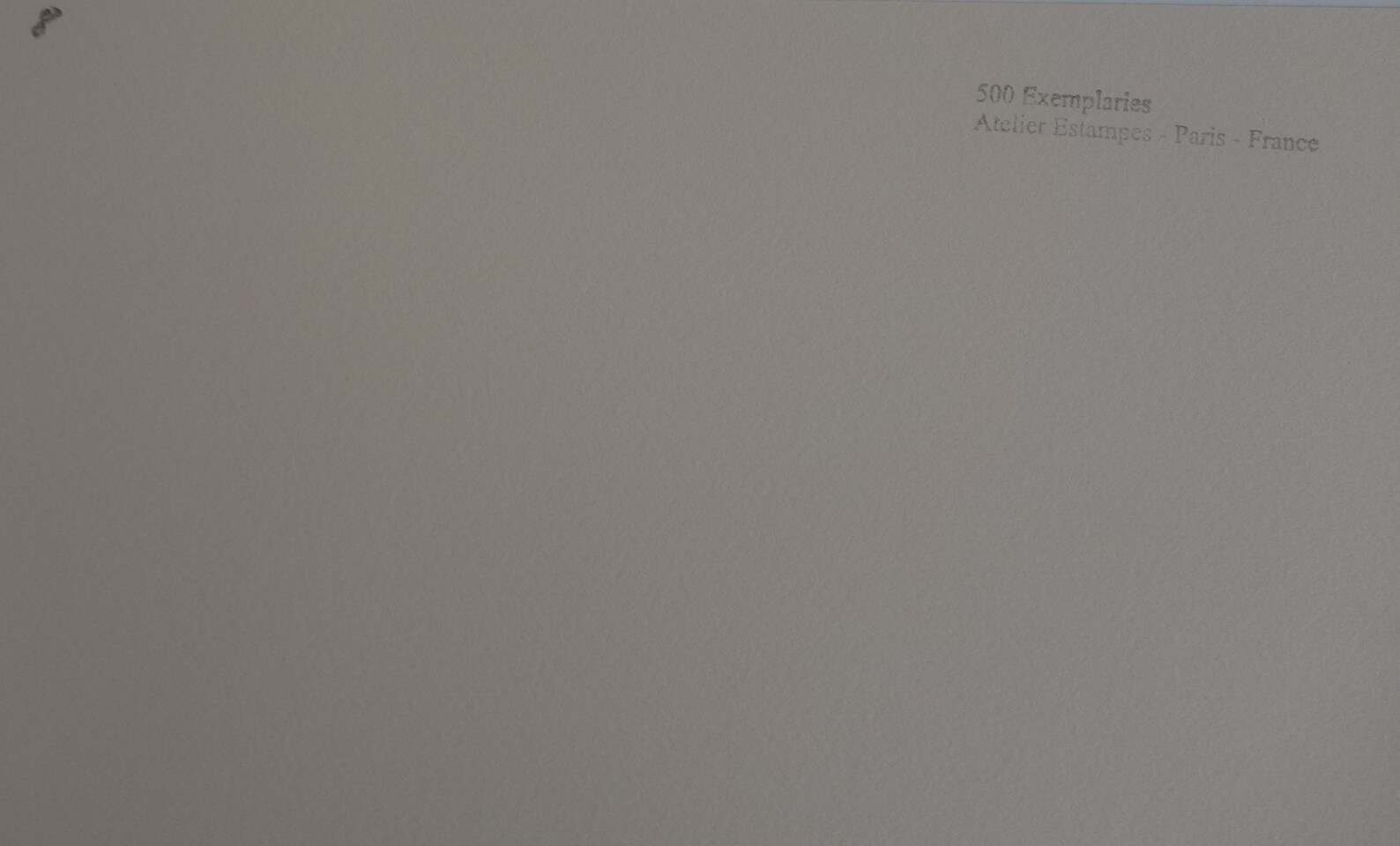 Fine Cubist Limited Edition Print - Blue Period Portrait of a Woman ...