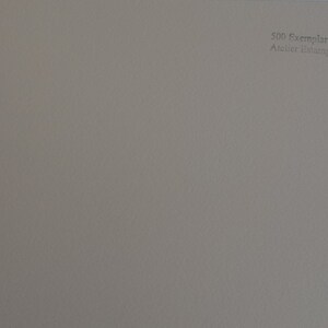 Fine Cubist Limited Edition Print - Blue Period Portrait of a Woman ...