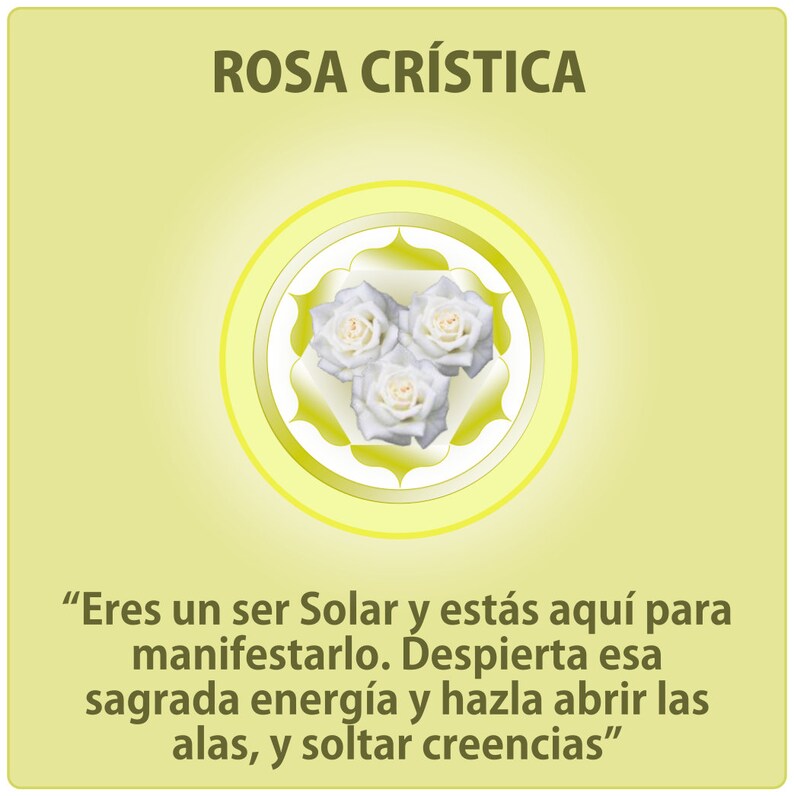 Rosa Christica “you Are a Solar Being and You Are Here to Manifest It ...