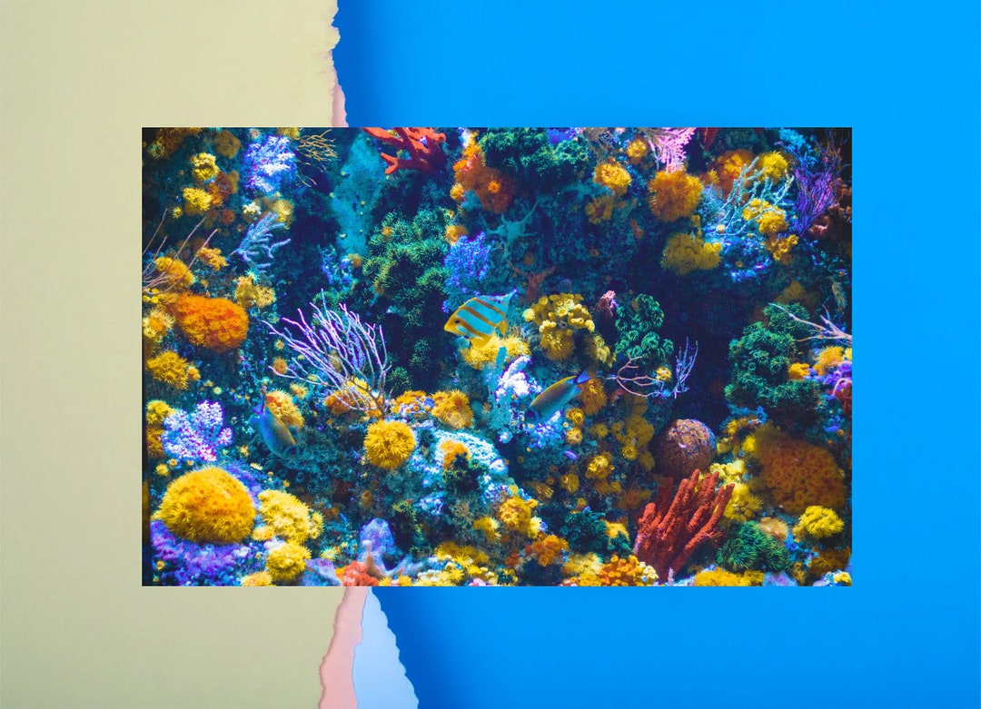 Australia Great Barrier Reef Print Wall Art Gift Great Barrier Reef ...