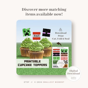 Printable Mine Food Cards, Set of 20, DIY Gift Kids Birthday Party ...