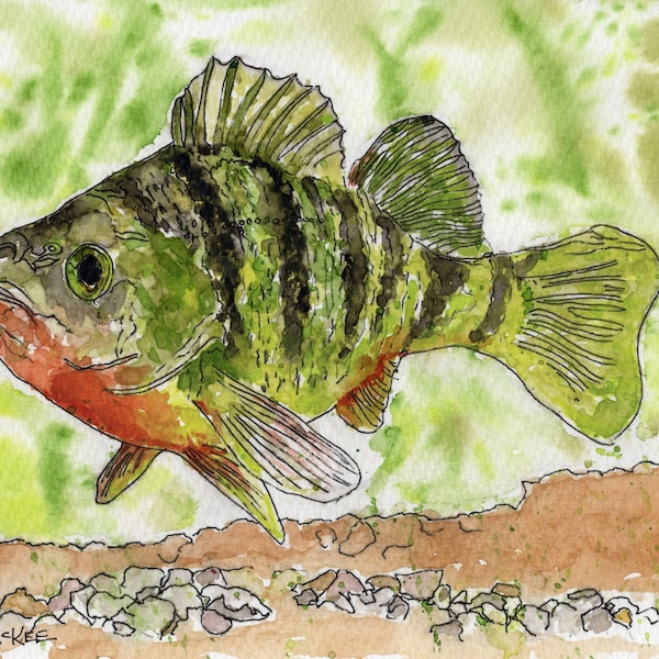 Perch Wall Decor - Etsy