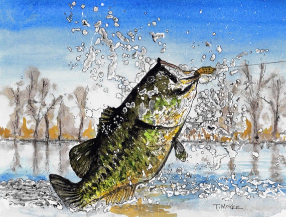 Freshwater Fish Watercolor
