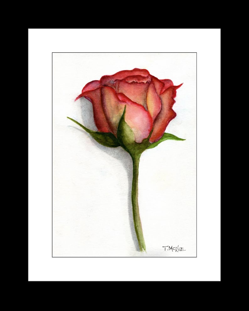 Rose Art, Rose Art Watercolor, Rose Watercolor, Art Print by Tony Mckee ...