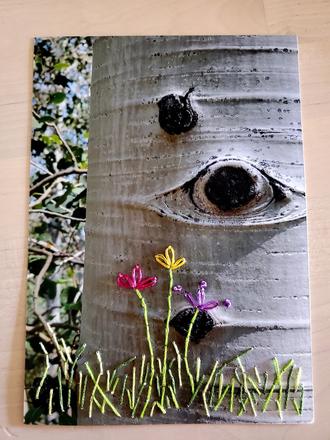 Aspen Tree "eye" Photos Embroidery From Wyoming - Etsy