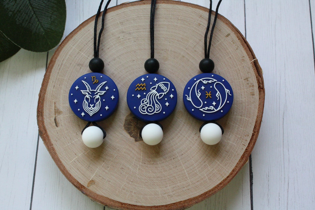 Winter Zodiac Fidget Necklace - Stim Necklace - Sensory Necklace - Etsy