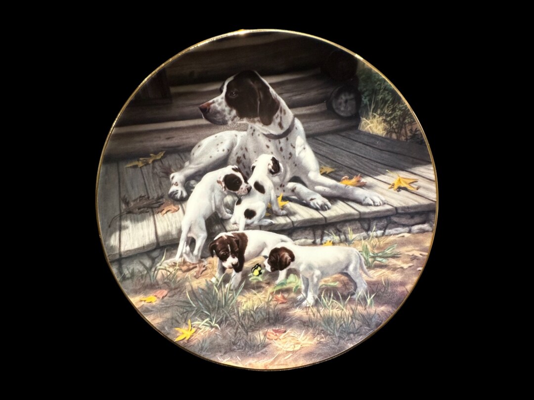 Vintage Porcelain Collector Plate 'pointers' by Robert Christie Classic ...