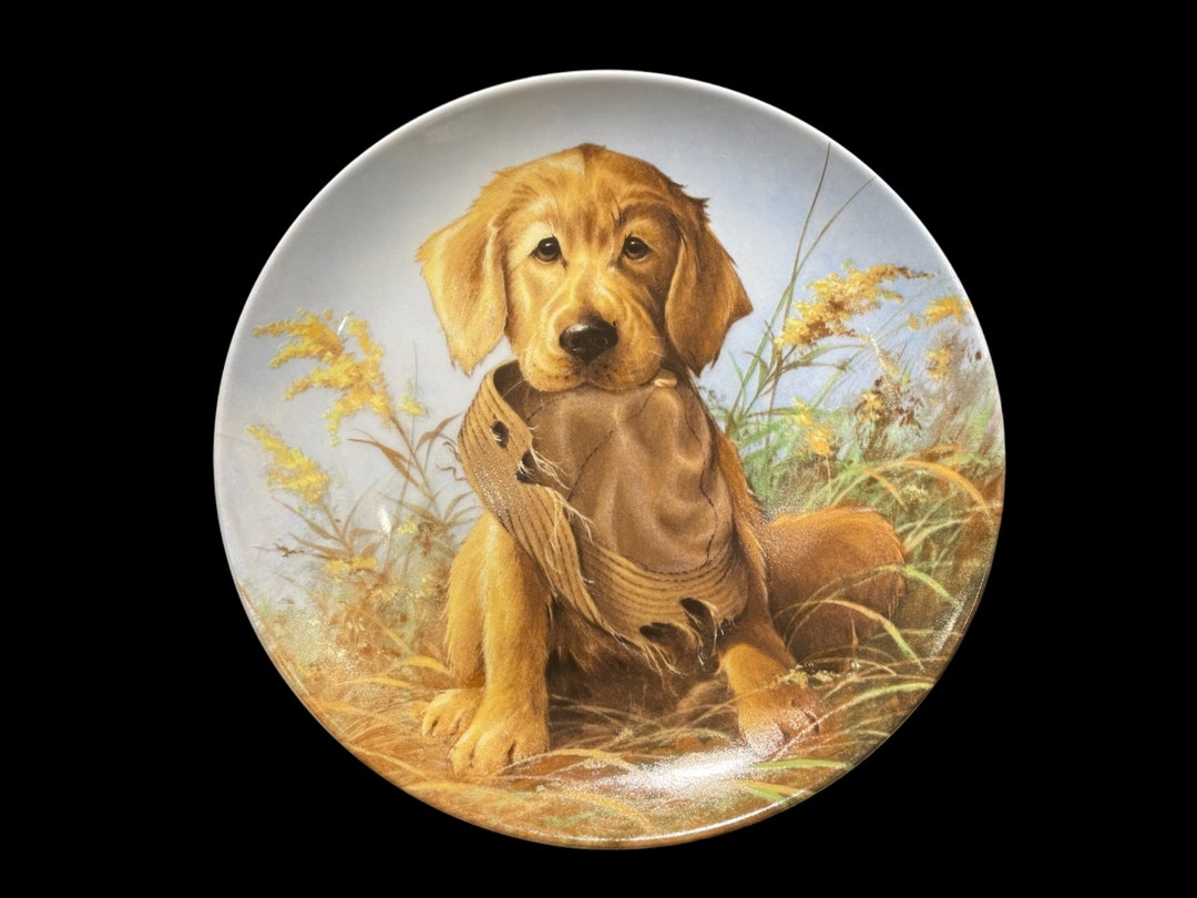 Vintage Collector Plate "caught in the Act - the Golden Retriever" by ...