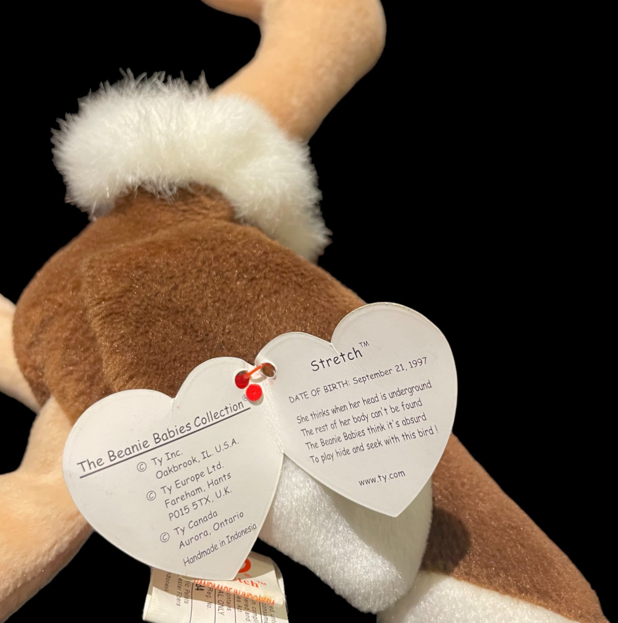 Vintage Ty Beanie Baby 'stretch' Rare Beanie Baby Original Stuffed ...