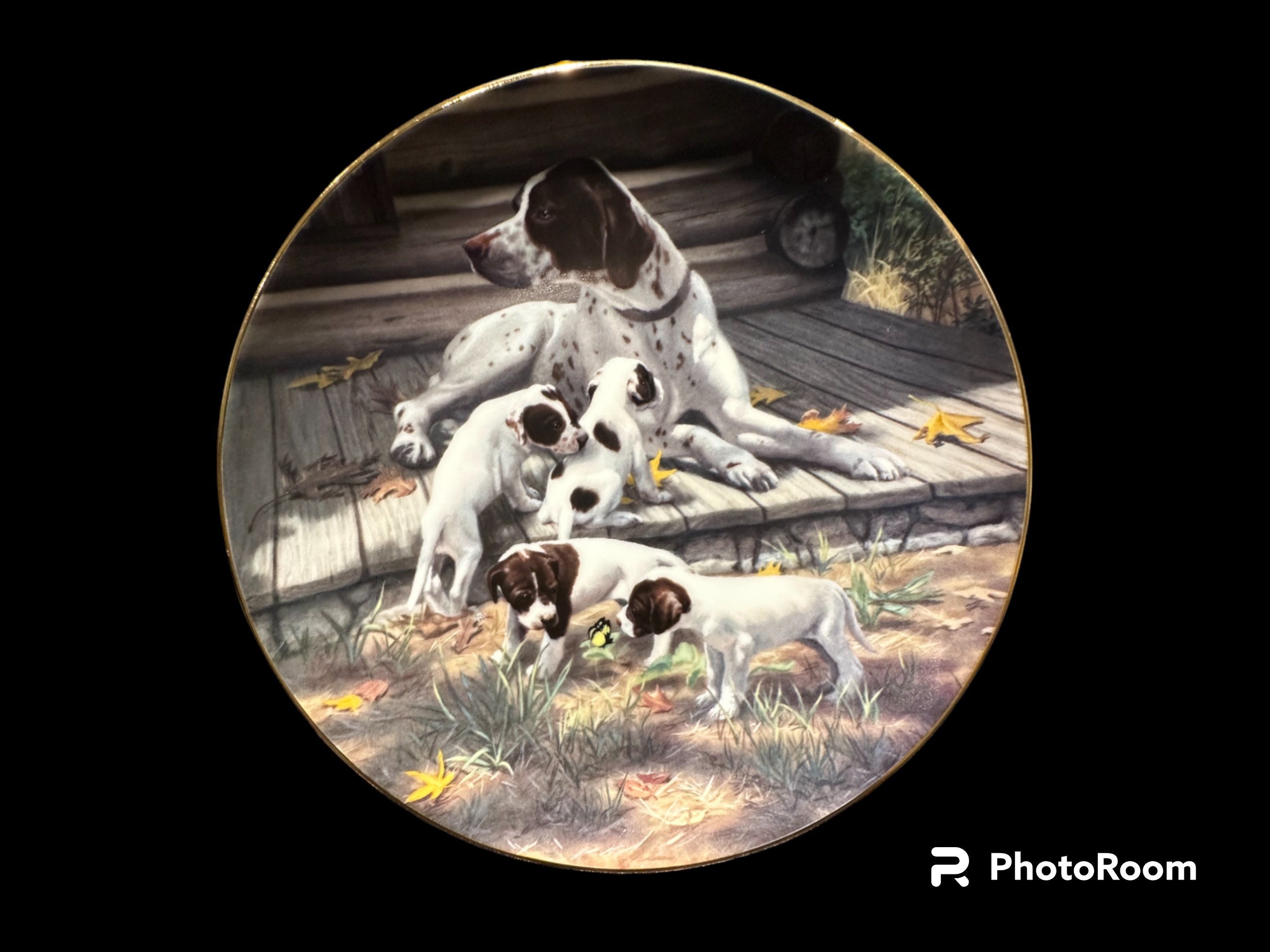 Vintage Porcelain Collector Plate 'pointers' by Robert - Etsy