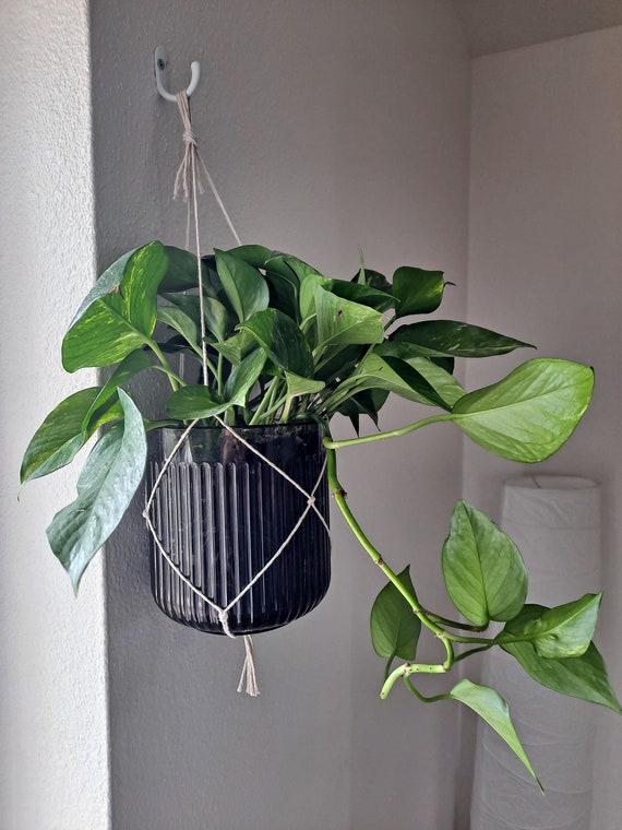 Minimalist Aesthetic Knotted Plant and Pot Hanger - Etsy