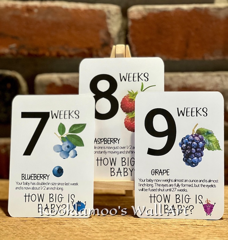 PREGNANCY Countdown Card SET With Easel; 20 Double-sided Cards (40 ...