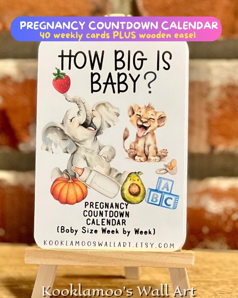 PREGNANCY Countdown Card SET With Easel; 20 Double-sided Cards (40 ...