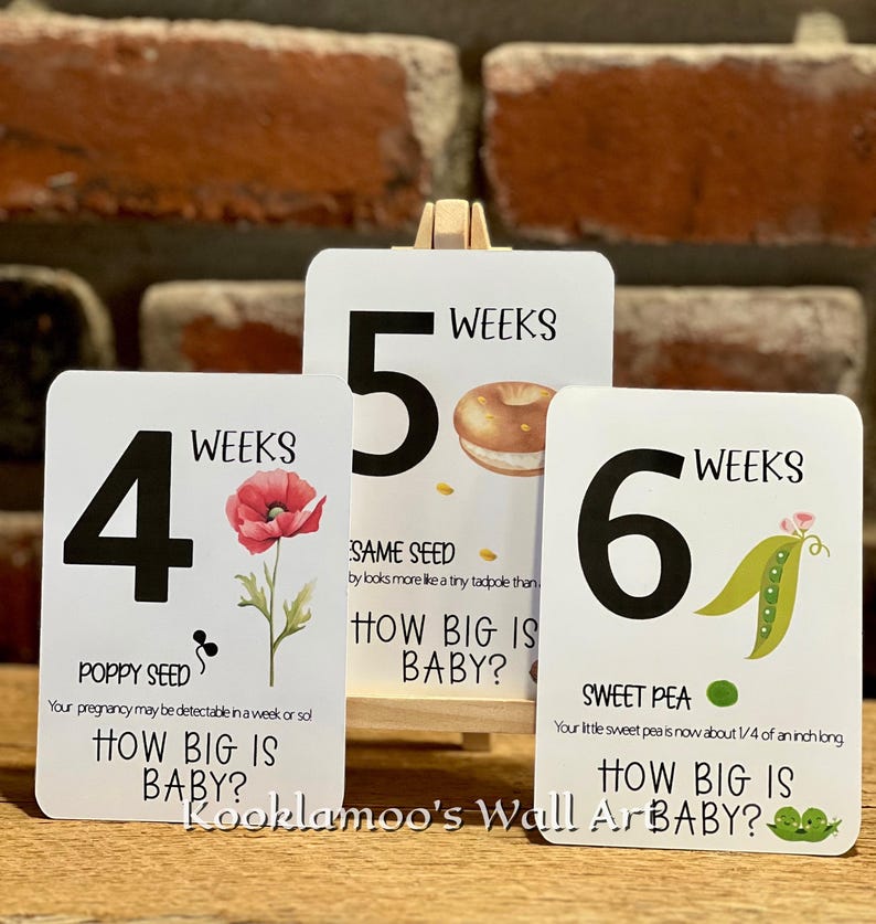 PREGNANCY Countdown Card SET With Easel; 20 Double-sided Cards (40 ...