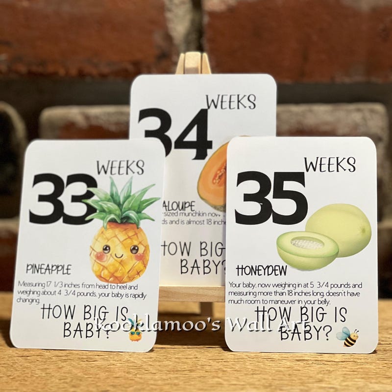 Pregnancy Countdown - Etsy