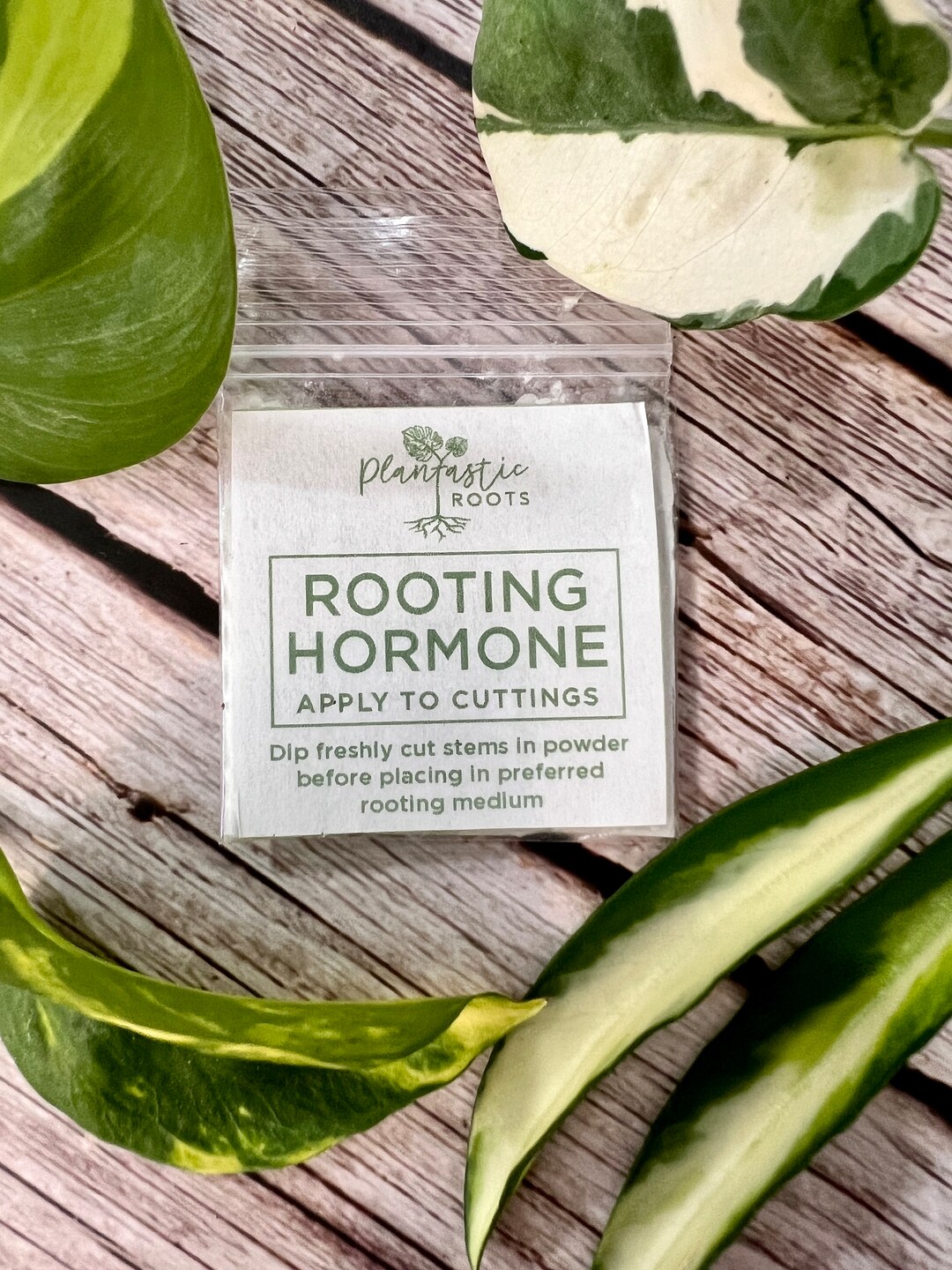 Rooting Hormone for Cuttings, Propagation Rooting Powder - Etsy
