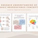 Brain and Neuroscience Therapy and Education Bundle: Psychoeducation ...