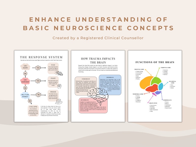 Brain & Neuroscience Psychoeducation Resource Bundle (PDF) - Etsy