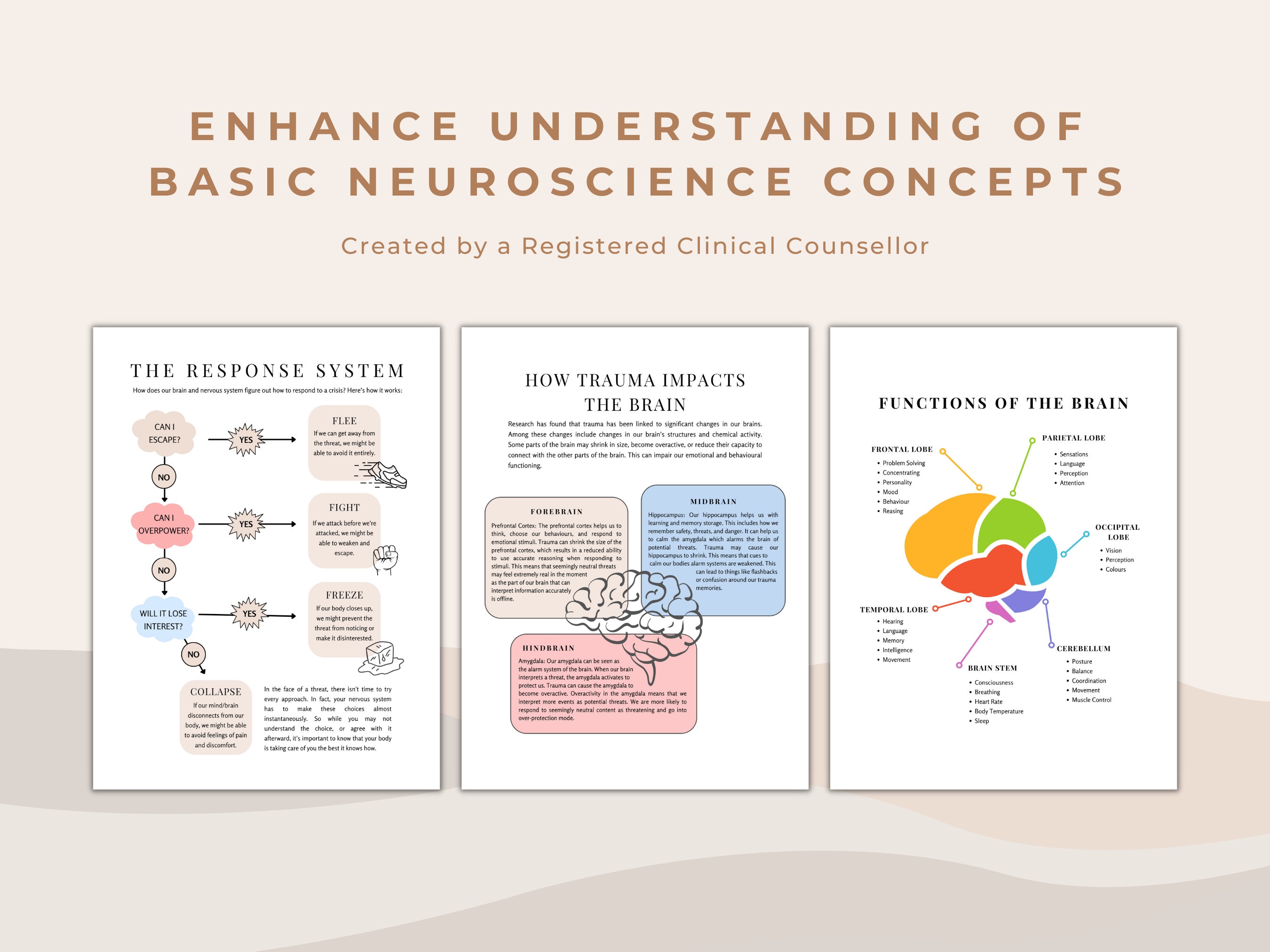 Brain & Neuroscience Psychoeducation Resource Bundle (PDF) - Etsy