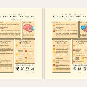 The Brain Regions and Their Function Neuroscience Psychoeducation Tool ...