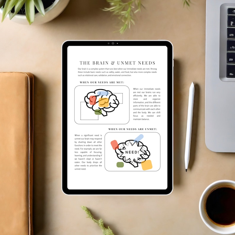 Biological Psychology Bundle: Brain Regions, Neuroscience, Nervous ...