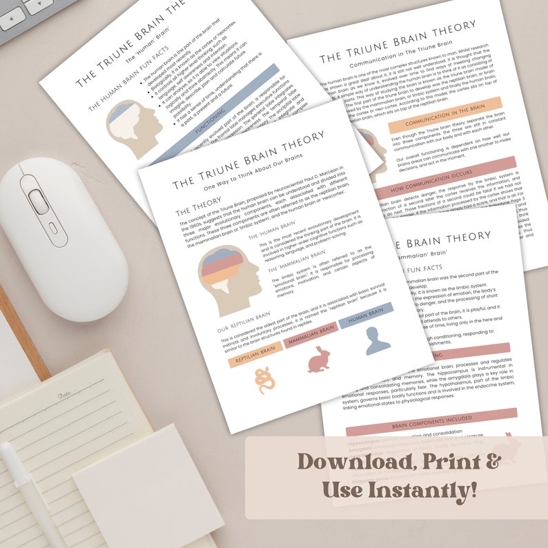 The Triune Brain Model of Brain Development | Neuroscience ...