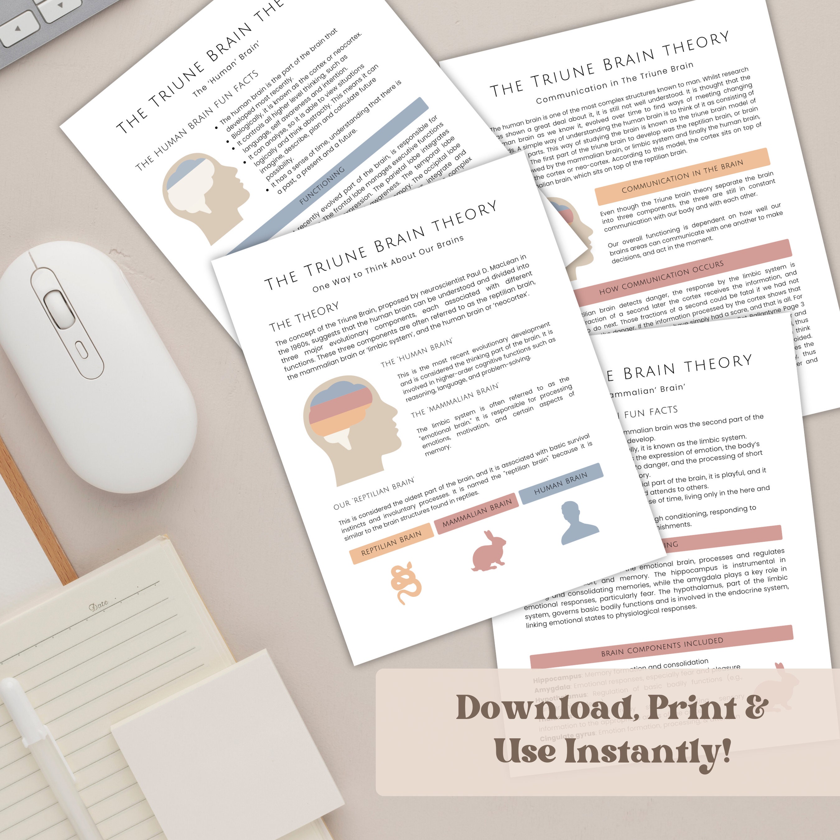 The Triune Brain Model of Brain Development | Neuroscience ...