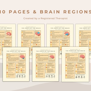 The Brain Regions and Their Function Neuroscience Psychoeducation Tool ...